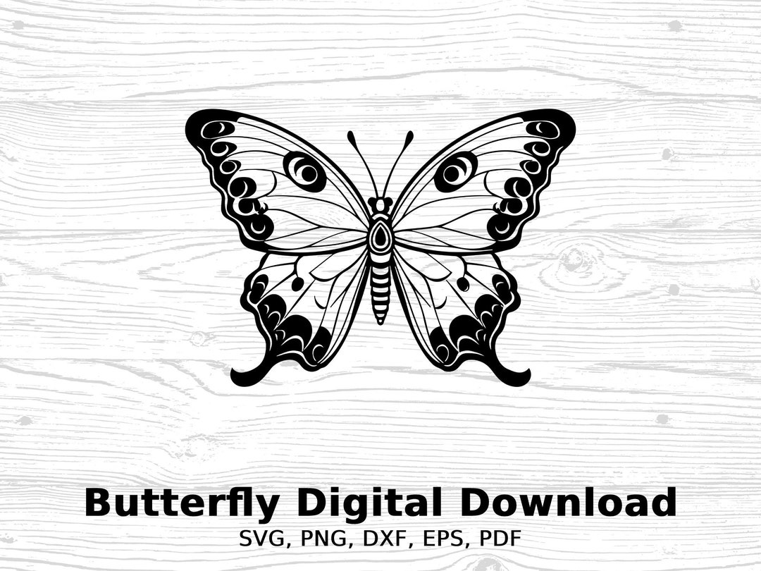 Beautiful Butterfly SVG Digital Download: Get Creative With Our ...