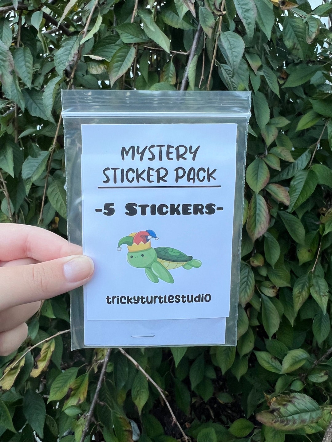 Mystery Sticker Pack // 5 Stickers - Etsy