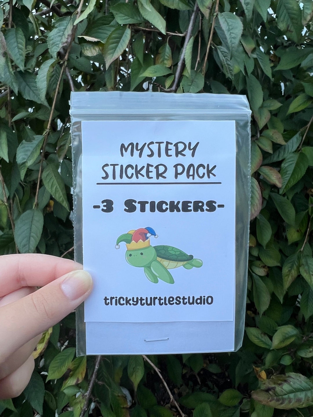 Mystery Sticker Pack // 3 Stickers - Etsy