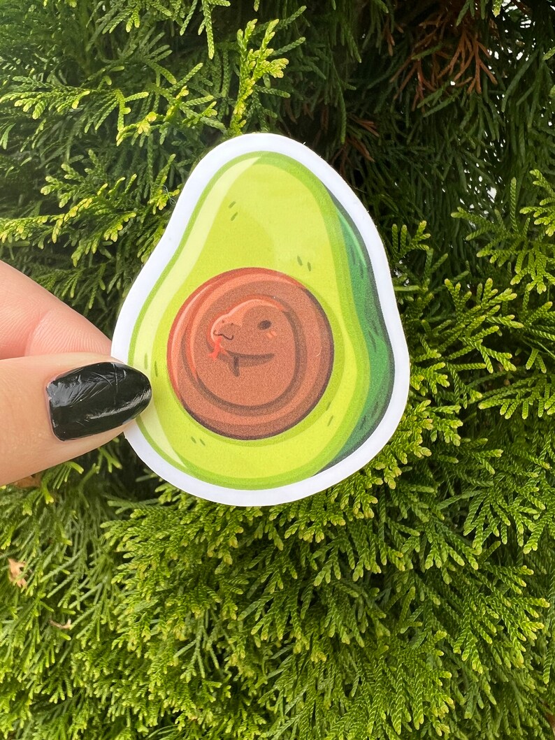 Fruit Snake Sticker Set // 6-pack - Etsy