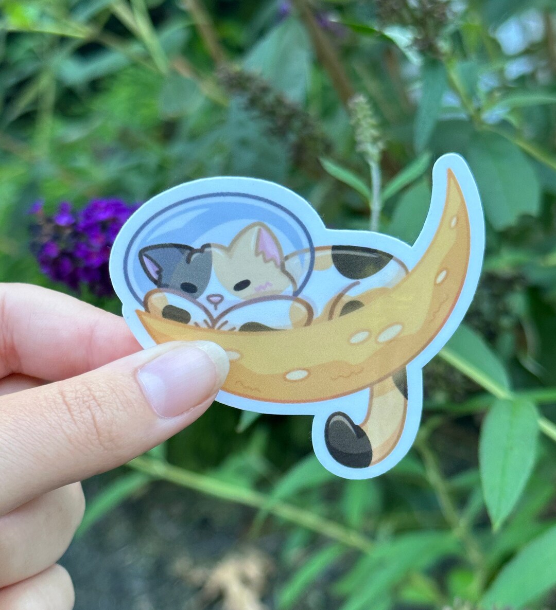 Space Cat 3 Sticker - Etsy