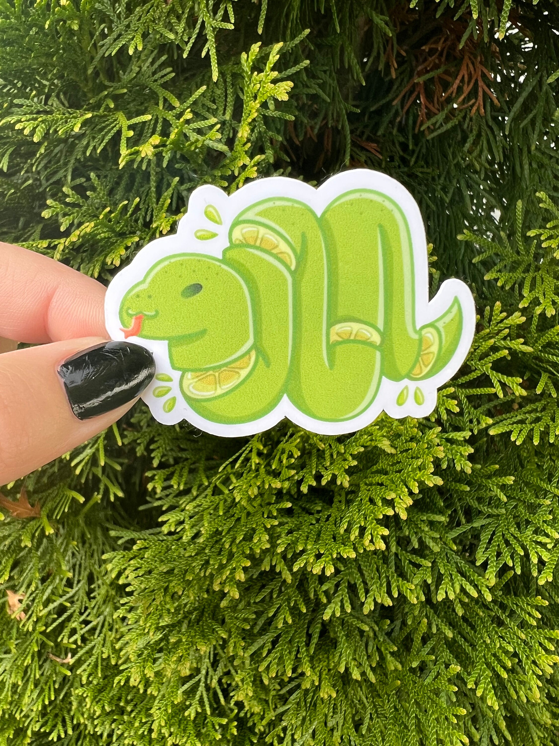 Fruit Snake Sticker Set // 6-pack - Etsy