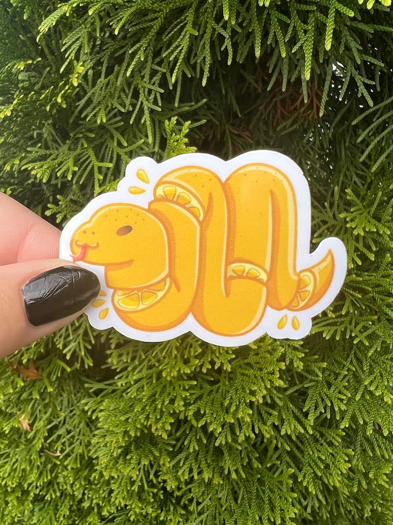 Fruit Snake Sticker Set // 6-pack - Etsy