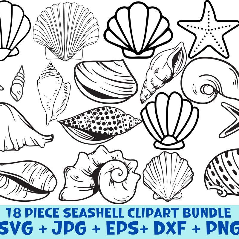 Seashells Svg - Etsy