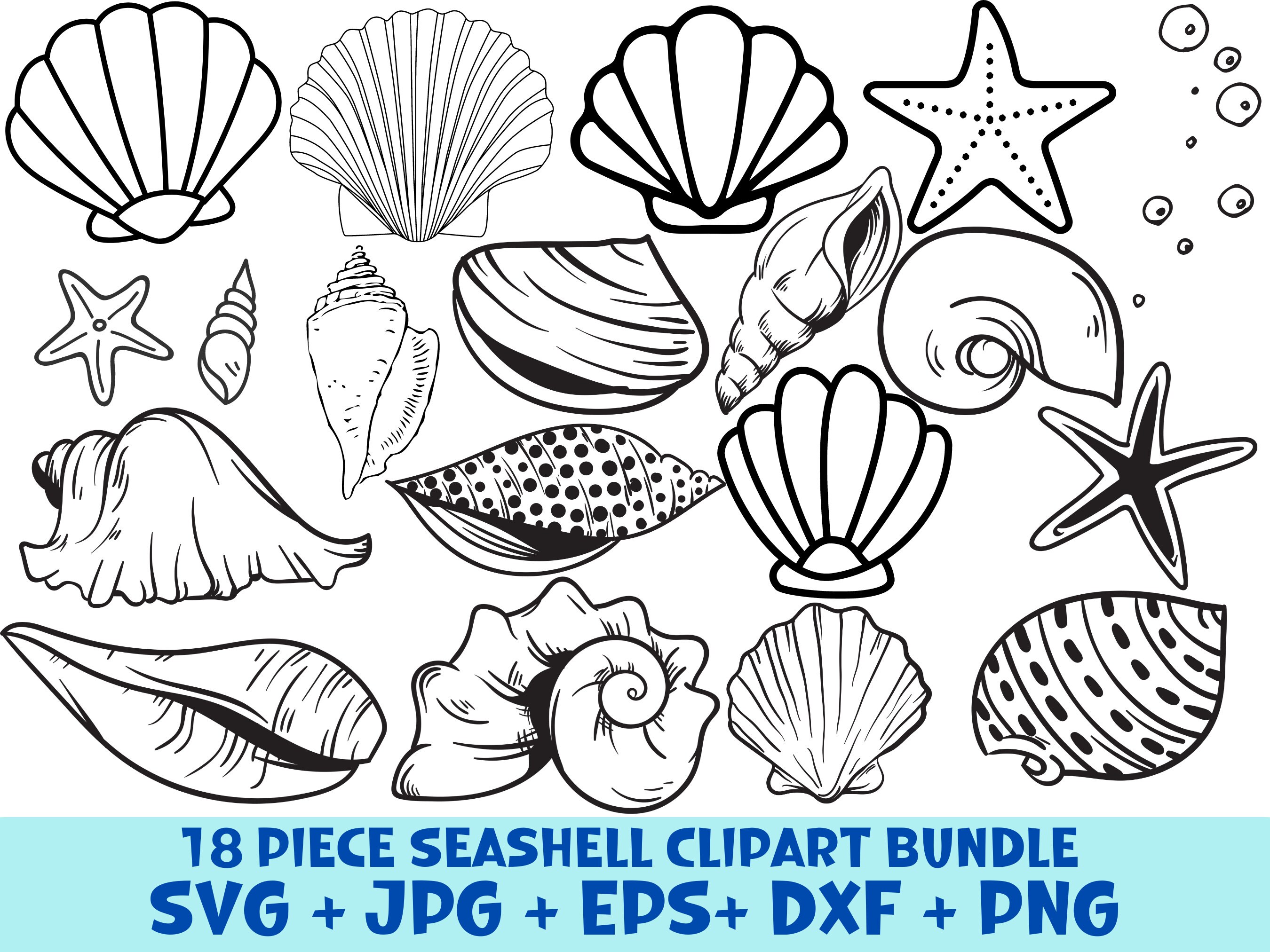 Seashells SVG. Cricut Cut Files, Seashells Clipart, Digital Download ...