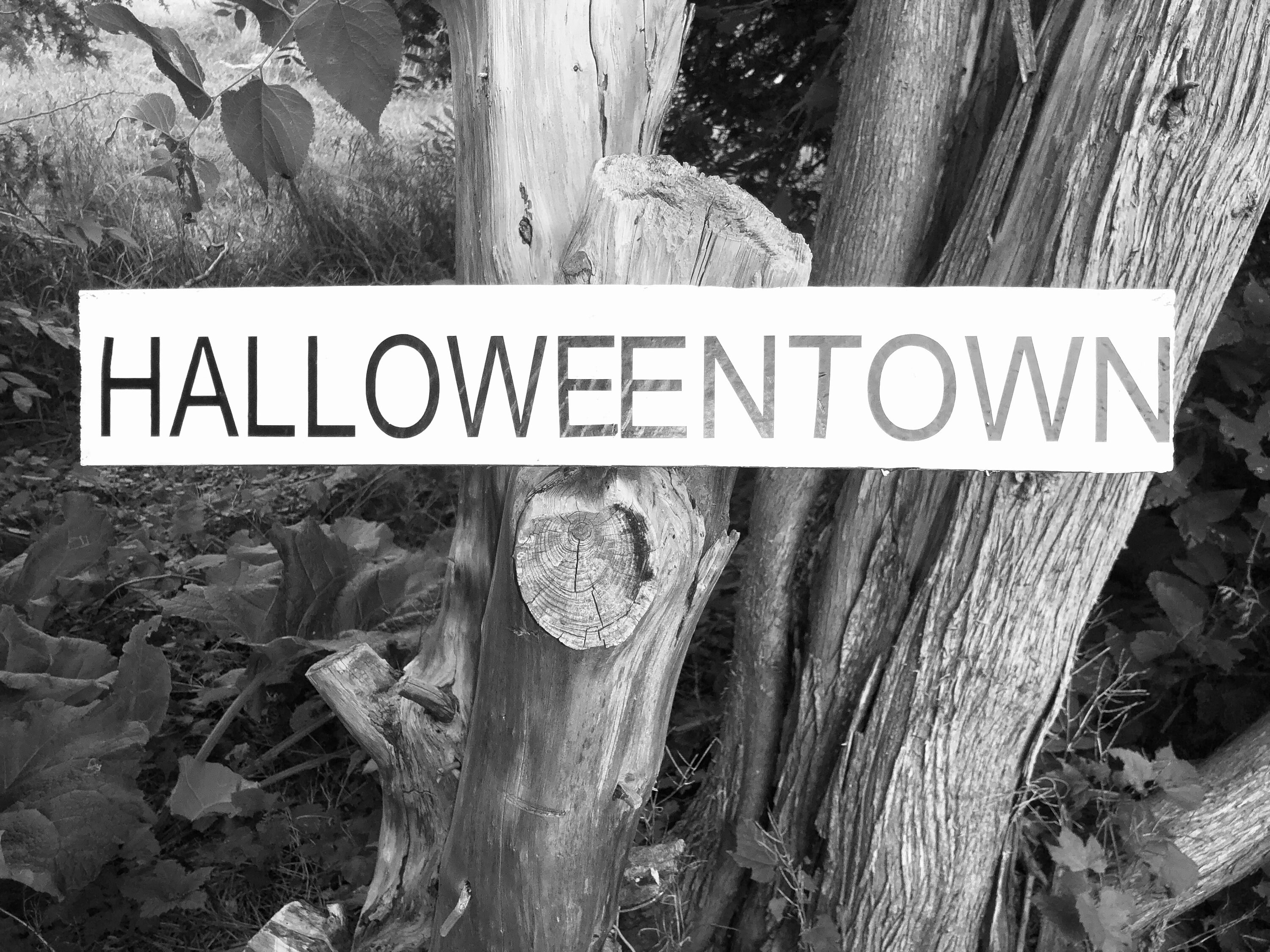 Halloween Town Sign - Etsy