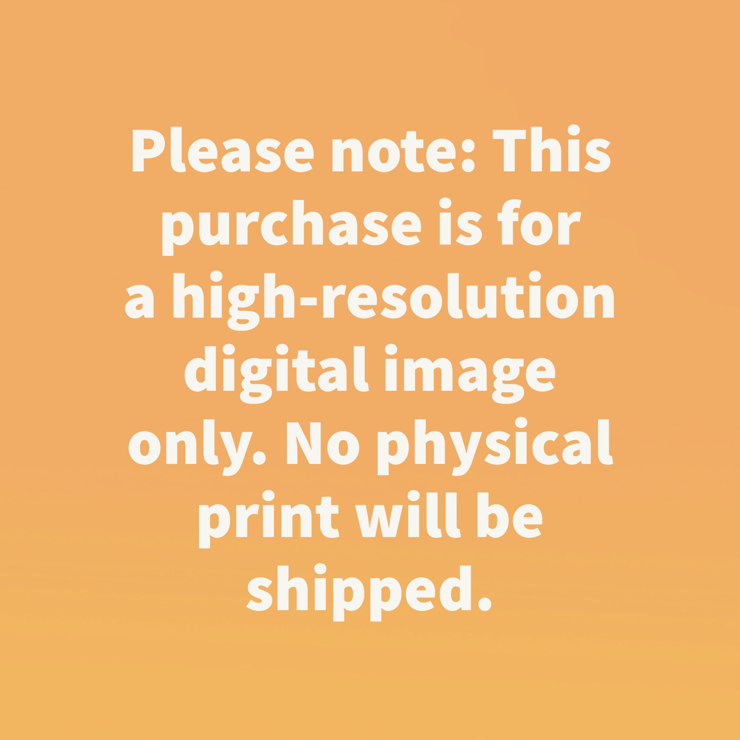 Suave Quacker Duck in a Suit, Ultra-detailed, Intricate Art, Digital ...