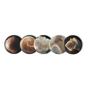 Set of 5 Custom Sea Shell Pin Buttons - Etsy