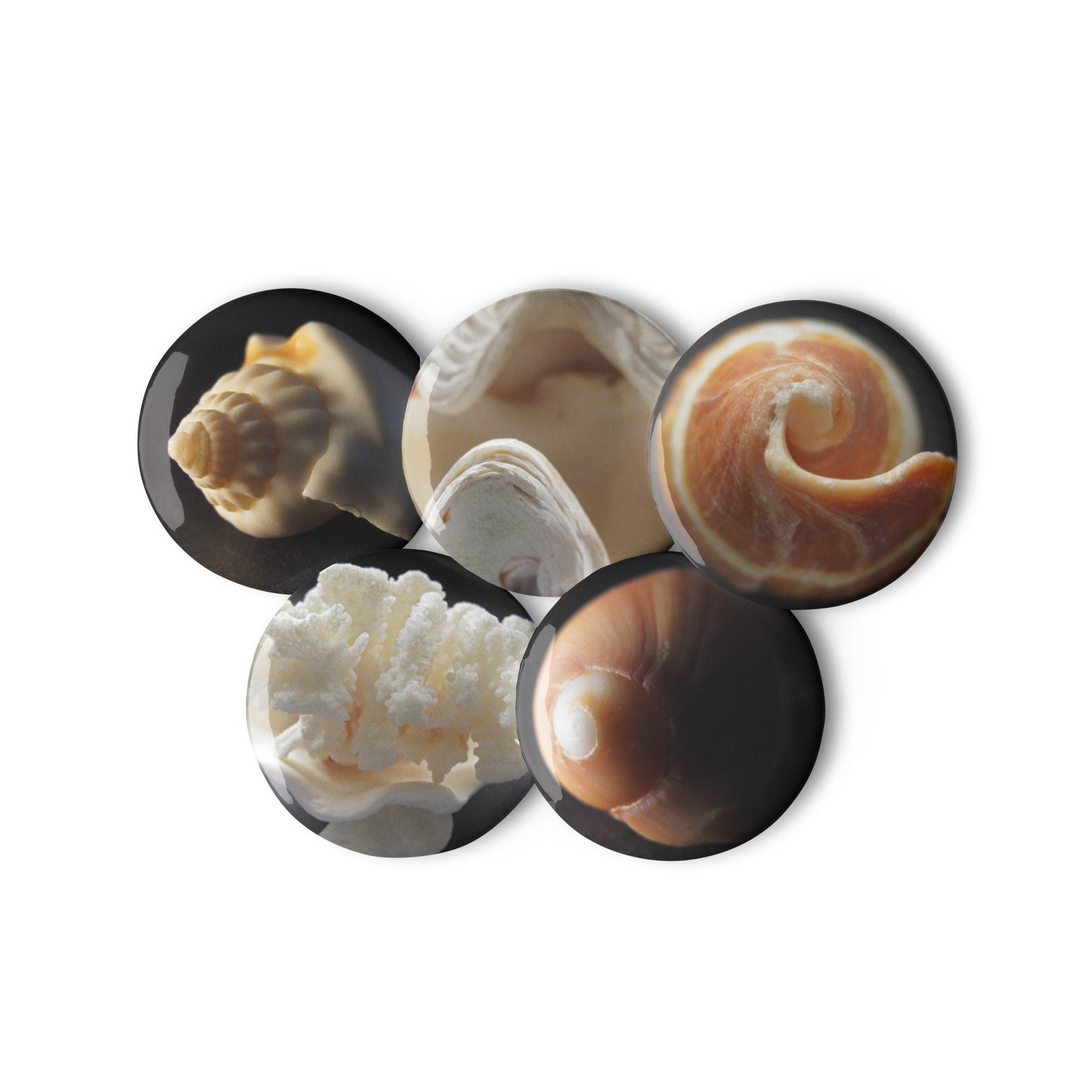 Set of 5 Custom Sea Shell Pin Buttons - Etsy