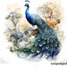 Watercolor Peacock Clipart, Australian Animals, Card Making, Paper ...