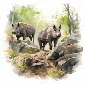 Watercolor Boars Clipart, Forest Landscape, Animal Clipart, Card Making ...