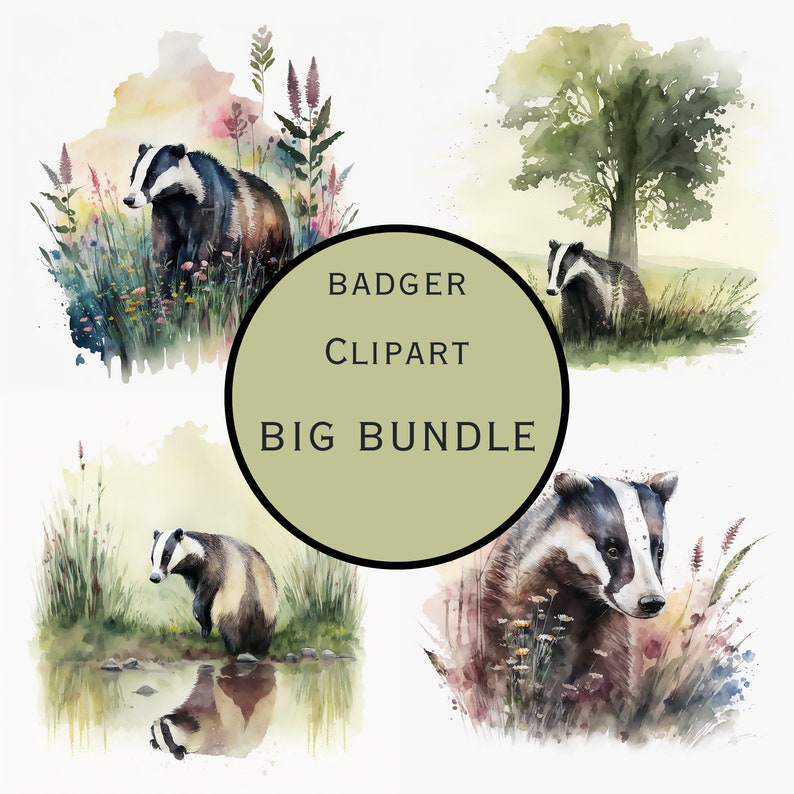Watercolor Badger Clipart, Badger Illustration, Badger Wildflowers ...