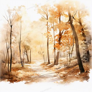 Watercolor Forest Clipart, Forest Landscape, Forest Illustations ...