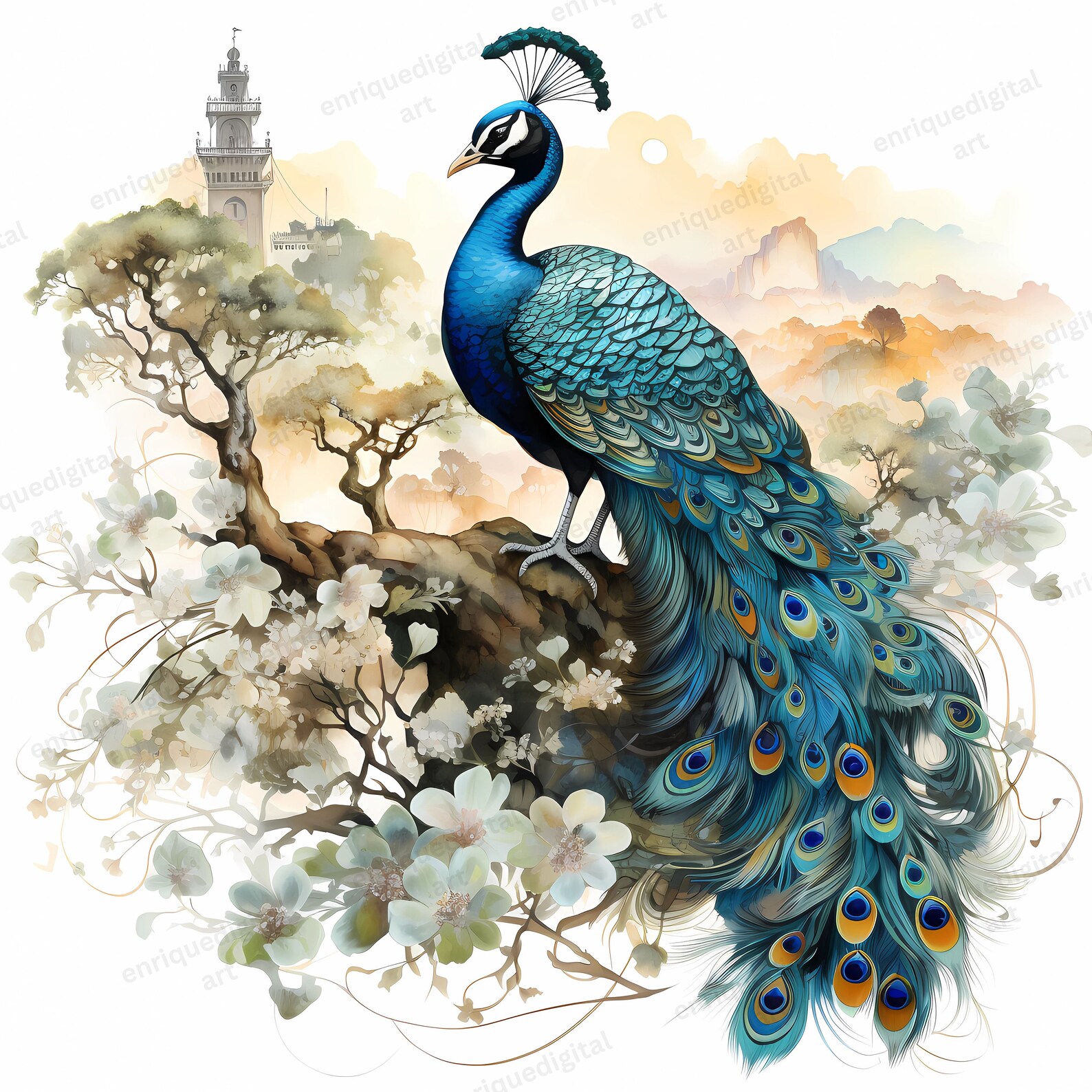 Watercolor Peacock Clipart, Australian Animals, Card Making, Paper ...
