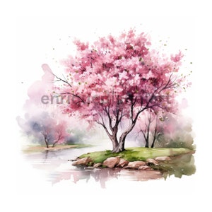 Springtime Watercolor Clipart, Cherry Blossom Trees, High Quality Jpgs ...