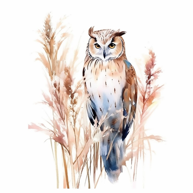 Watercolor Owl Clipart Owl Clipart PNG Printable Digital - Etsy