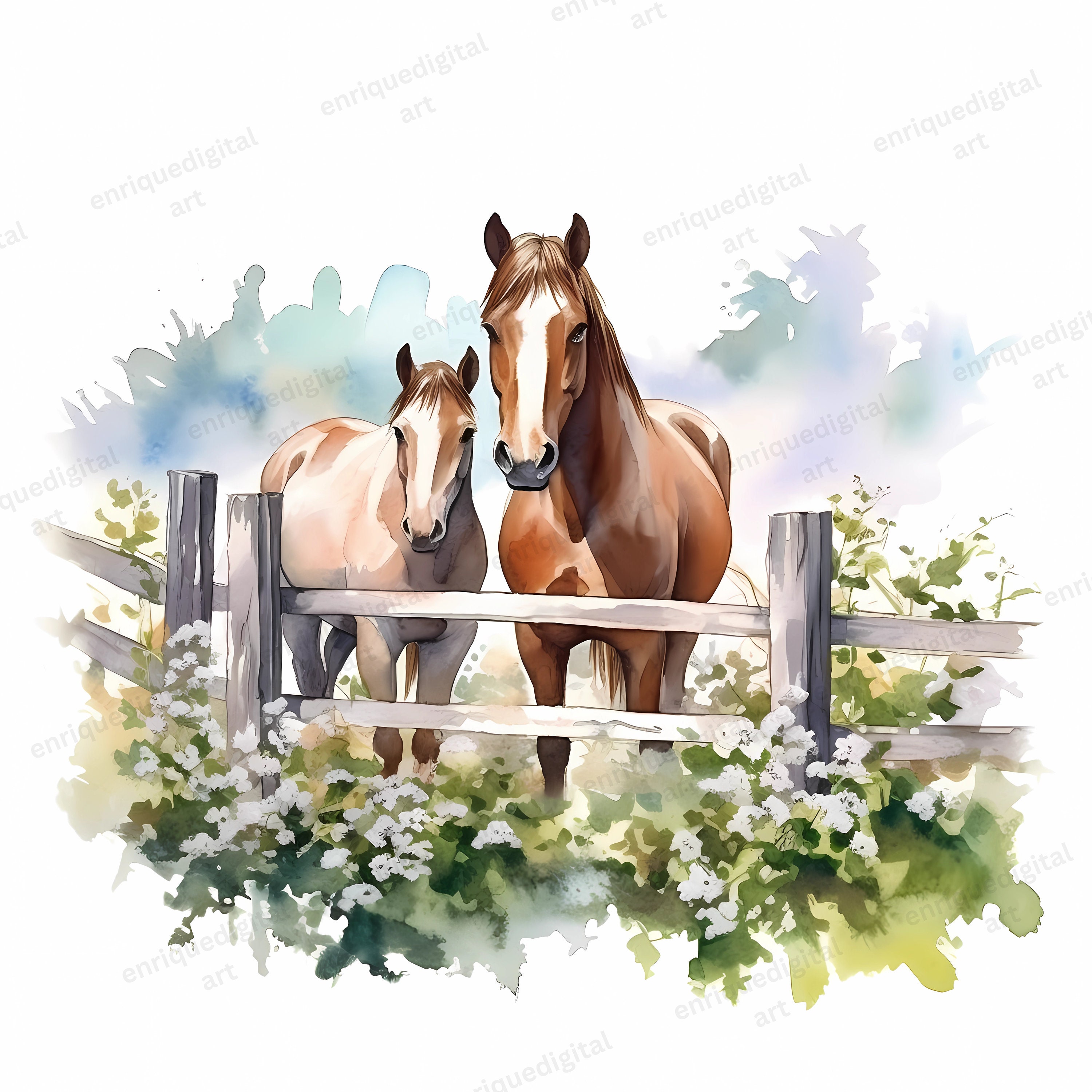 Watercolor Horse Clipart Animal Clipart Horse Images Horse - Etsy