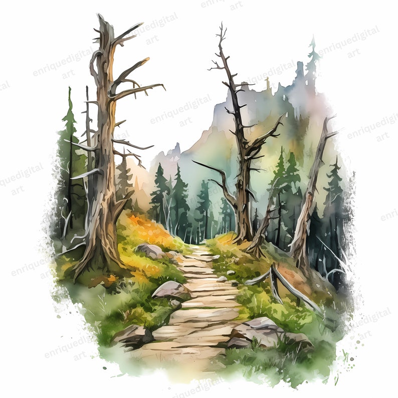 Watercolor Mountain Forest Path Clipart Watercolor Landscape - Etsy