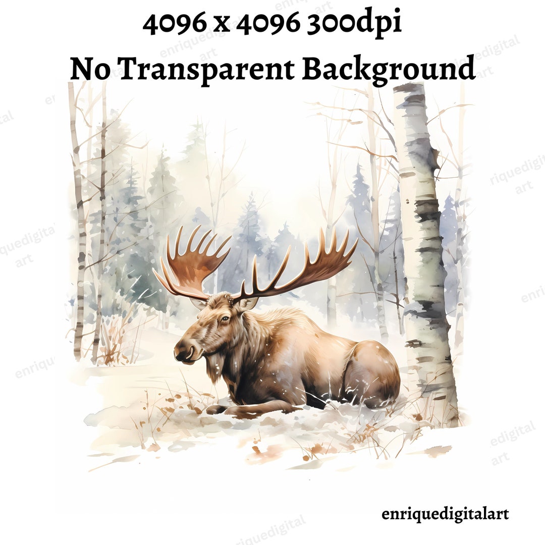 Watercolor Moose Clipart, Animal Clipart, Card Making, Paper Crafting ...