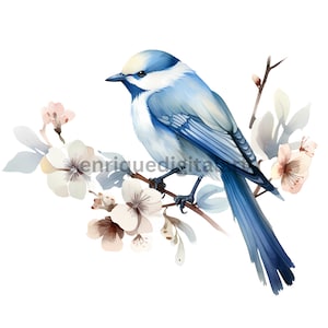 Watercolor Blue Birds Clipart, Card Making, Clipart Bundle, Digital ...
