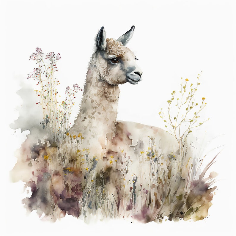 Lama Clipart Lama Illustration Lama PNG Digital Download - Etsy