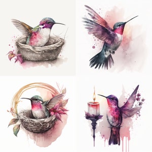 Hummingbird Clipart, Hummingbird PNG, Hummingbird Illustration, Digital ...