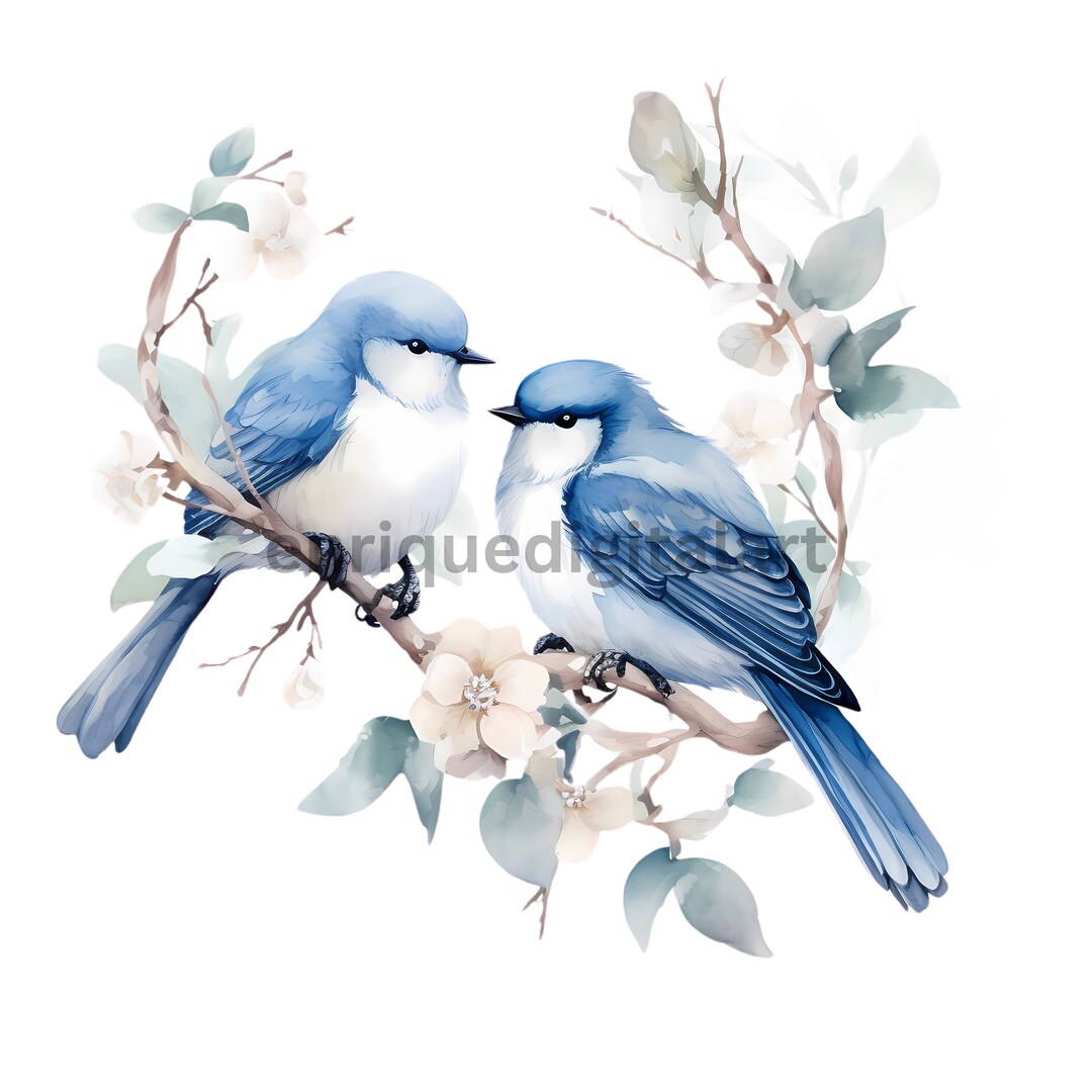 Watercolor Blue Birds Clipart, Card Making, Clipart Bundle, Digital ...