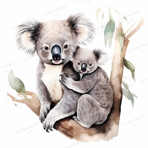 Watercolor Koala Clipart, Australian Animal, Card Making, Paper ...