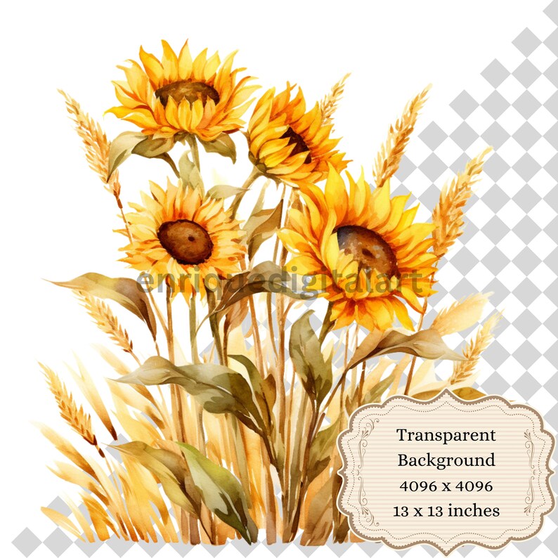 Watercolor Sunflowers Clipart, Card Making, Scrapbooking Images ...