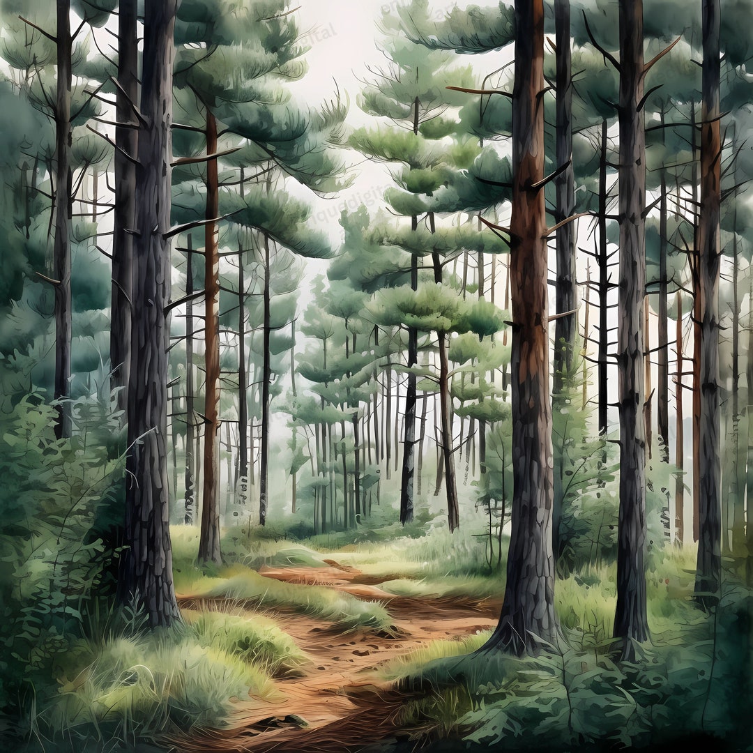 Watercolor Forest Clipart, Forest Landscape, Forest PNG, Card Making ...