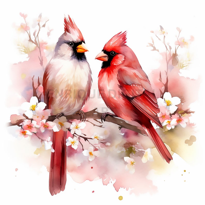 Red Cardinal Clipart, Bird Clipart, Bird Illustration, Nursery Art ...