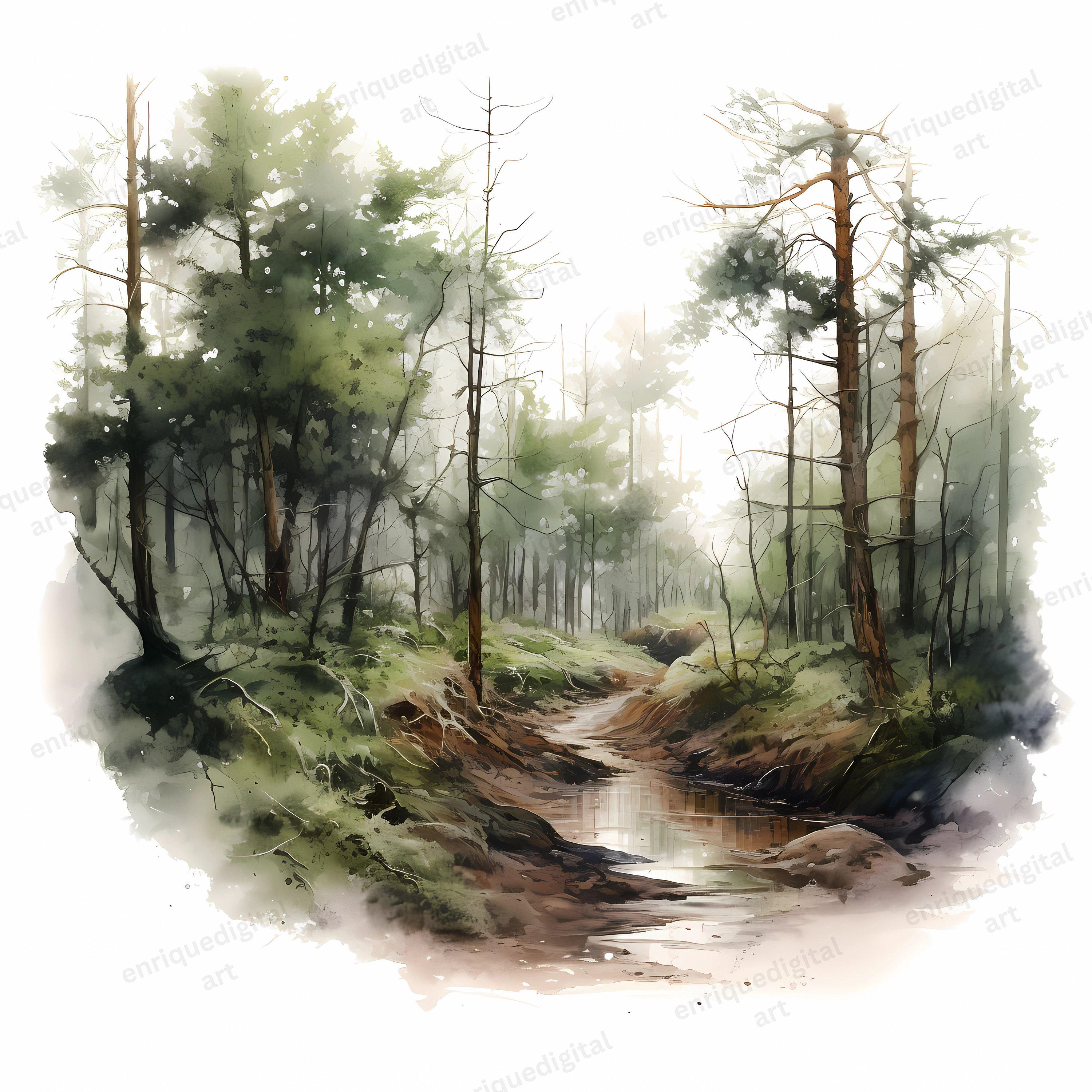 Watercolor Forest Clipart Forest Landscape Card Making - Etsy