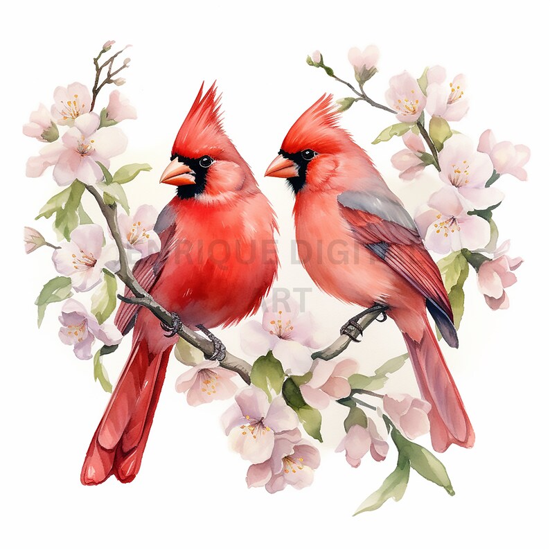 Red Cardinal Clipart Bird Clipart Bird Illustration Nursery - Etsy Canada