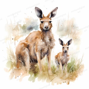 Watercolor Kangaroo Clipart, Australian Animals, Card Making, Paper ...