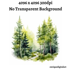 Watercolor Forest Clipart, Pine Trees Clipart, Forest Path, Landscape ...