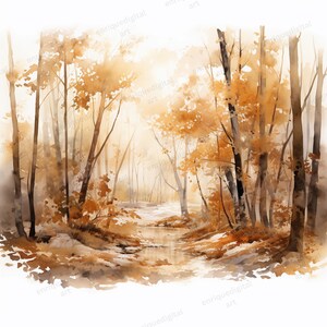 Watercolor Forest Clipart, Forest Landscape, Forest Illustations ...