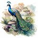 Watercolor Peacock Clipart, Australian Animals, Card Making, Paper ...