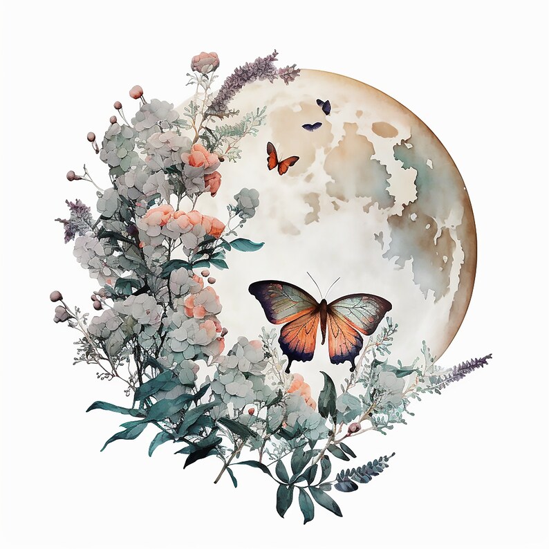 Watercolor Moon Butterfly Moon Png Moon Flowers Butterfly - Etsy