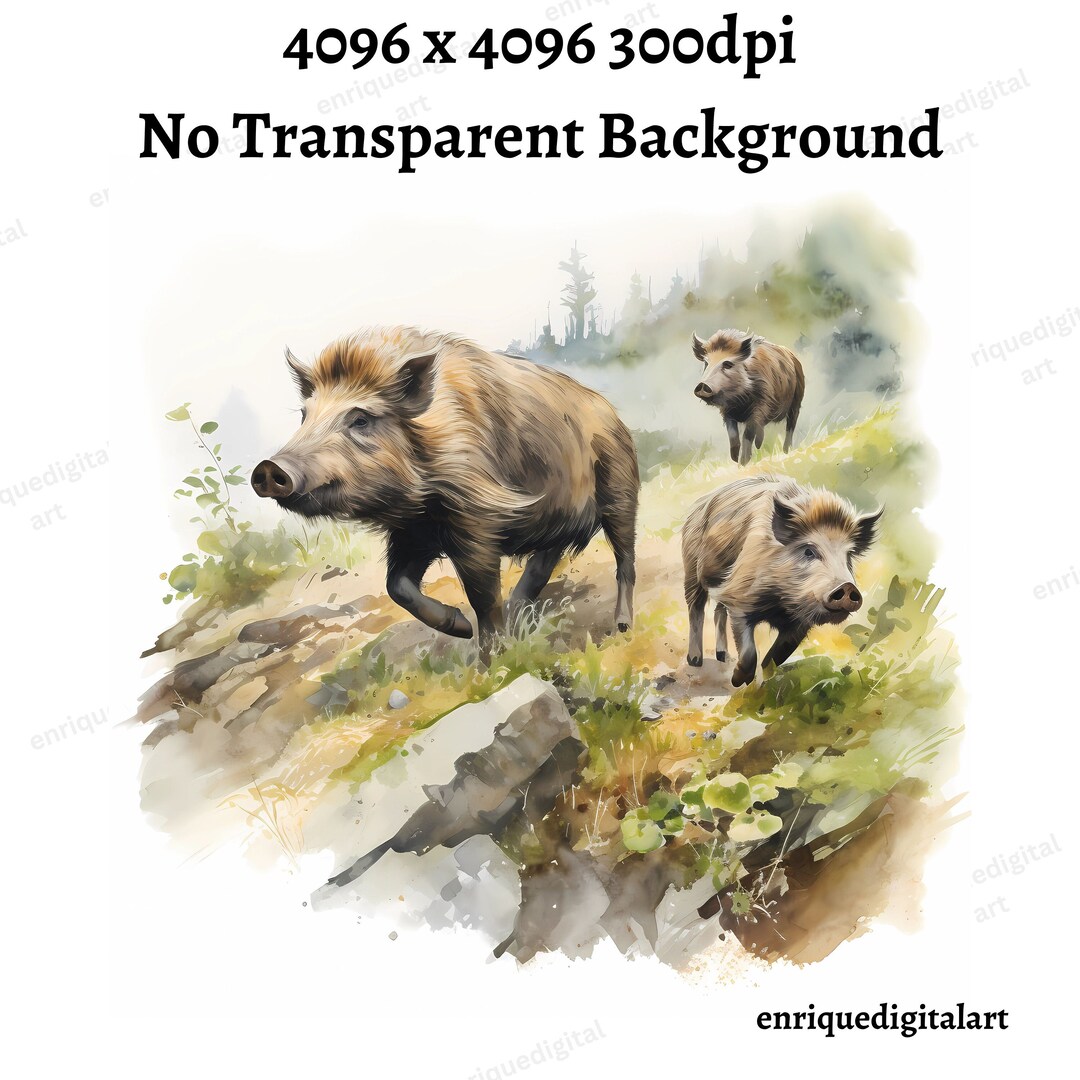 Watercolor Boars Clipart, Forest Landscape, Animal Clipart, Card Making ...