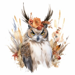 Watercolor Boho Owl, Boho Owl Watercolor, Owl Clipart PNG, Printable ...