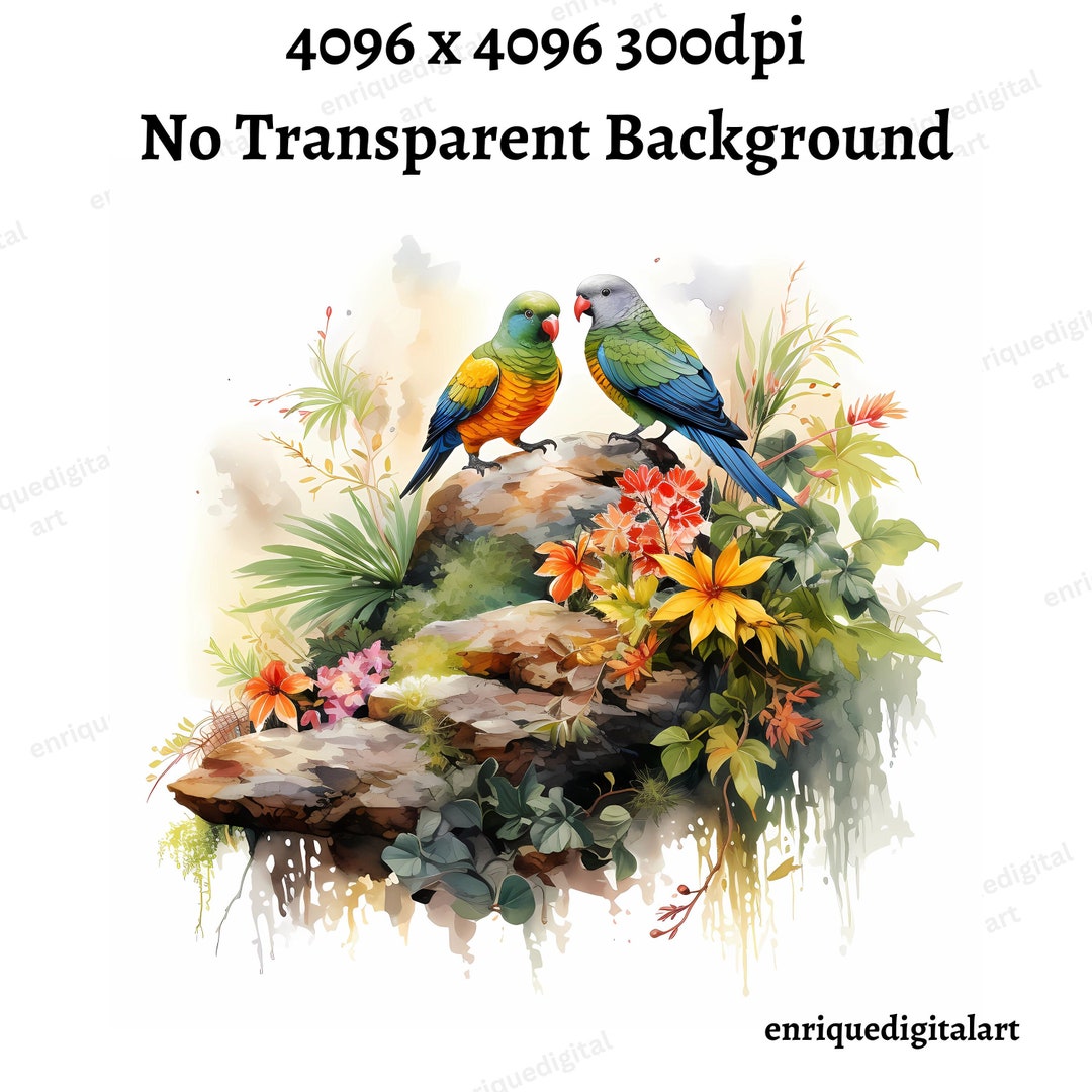 Watercolor Parrots Clipart, Australian Animals, Card Making, Paper ...
