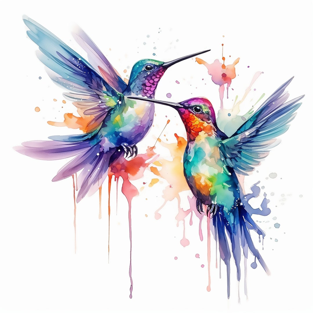 Hummingbird Clipart, Hummingbird Png, Hummingbird Digital Paper ...