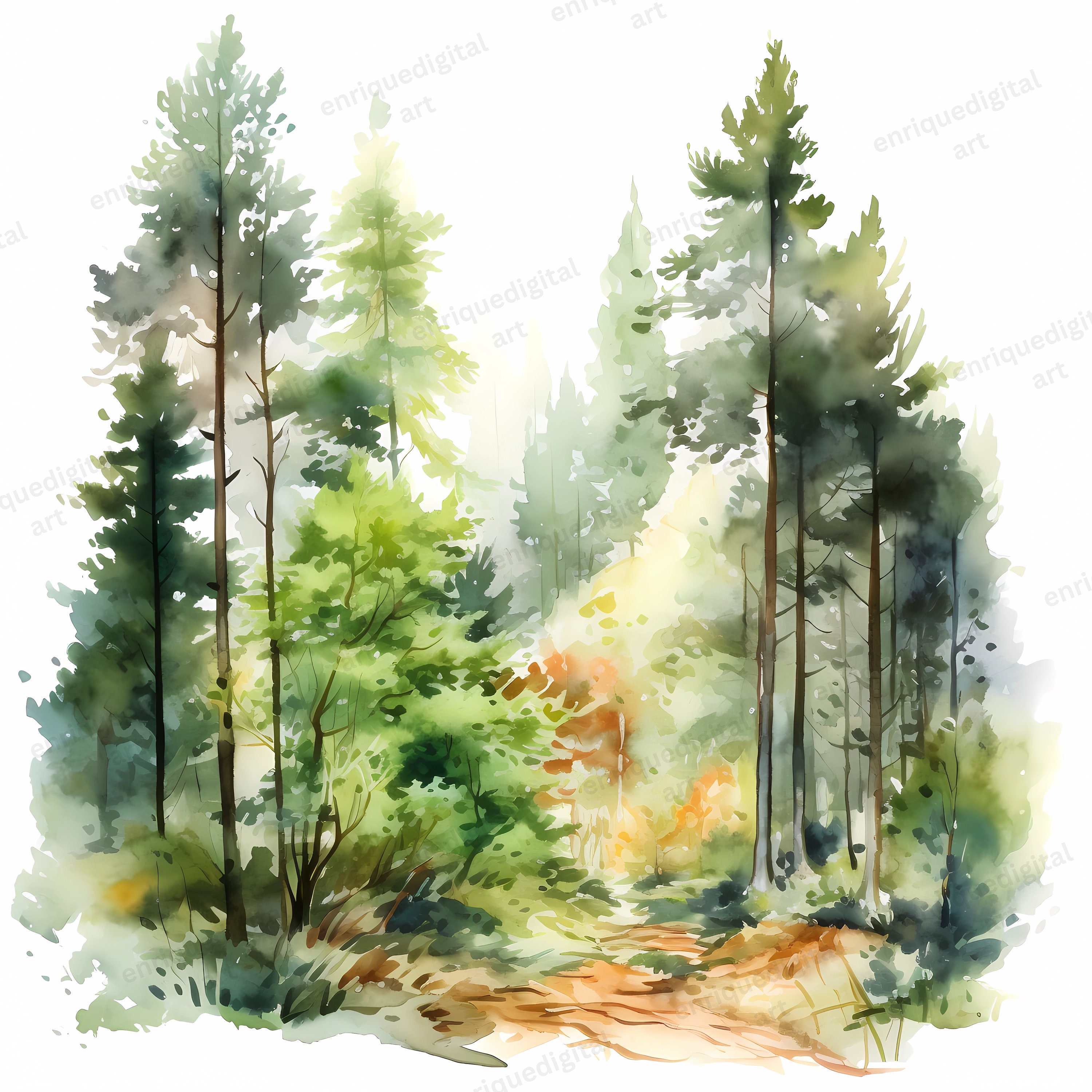 Watercolor Forest Clipart Pine Trees Clipart Forest Path - Etsy