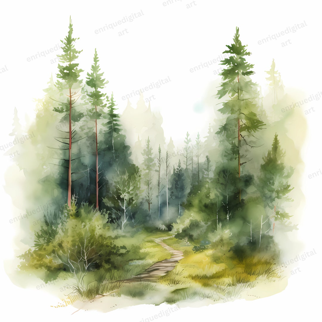 Watercolor Forest Clipart, Pine Trees Clipart, Forest Path, Landscape ...