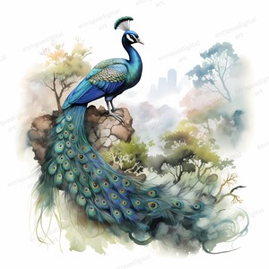 Watercolor Peacock Clipart, Australian Animals, Card Making, Paper ...