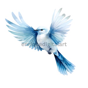 Watercolor Blue Birds Clipart, Card Making, Clipart Bundle, Digital ...