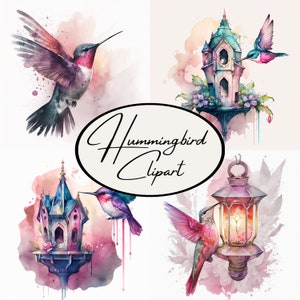 Hummingbird Clipart, Hummingbird PNG, Hummingbird Illustration, Digital ...