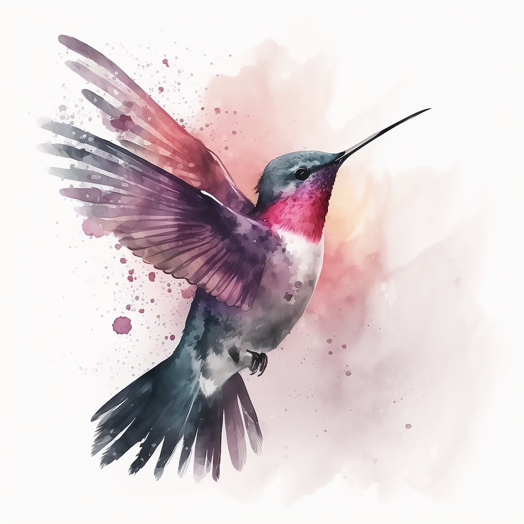 Hummingbird Clipart, Hummingbird PNG, Hummingbird Illustration, Digital ...