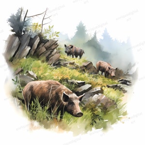 Watercolor Boars Clipart, Forest Landscape, Animal Clipart, Card Making ...