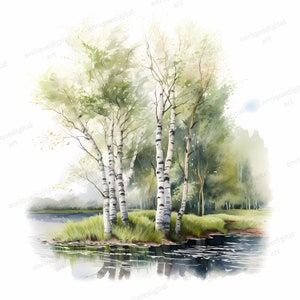 Watercolor Birch Trees Clipart, Lake Landscape, Card Making, Paper ...